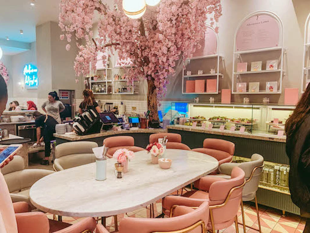 An Extensive Review Of Elan Cafe - Womanology